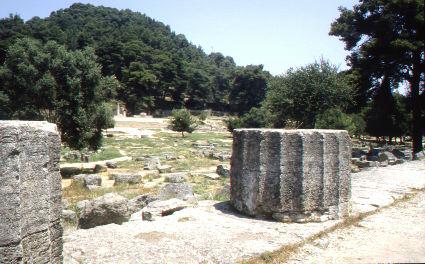 Trees and the Sacred - image1